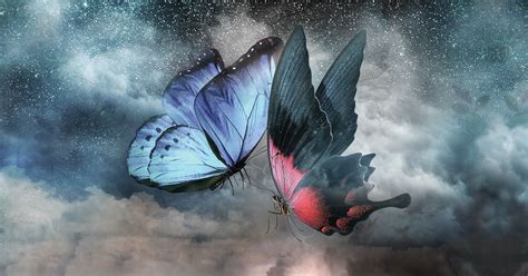 Victorian Oper And Wild Rice Present A World Premiere Opera · Victorian
