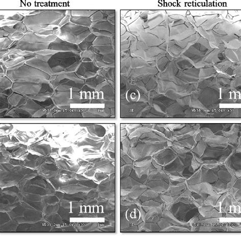 Scanning Electron Micrographs Of The Polyimide Foam N7 A And B Download Scientific Diagram