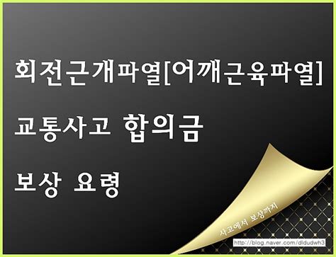 어깨힘줄파열 어깨통증 교통사고 회전근개파열 합의금 후유장해 보험금 보상 방법 네이버 블로그