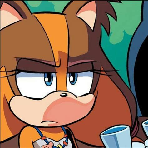 Sticks The Badger Wiki Sonic The Hedgehog Pt Br Amino
