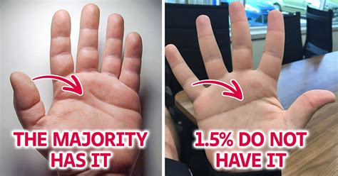 12 Rare Physical Traits That Most People Dont Have Cheery
