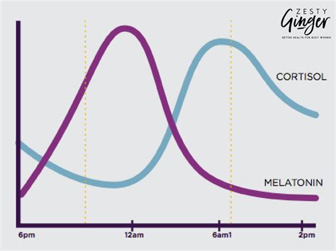 Melatonin Cortisol Release And Why You Should Go To Bed Earlier
