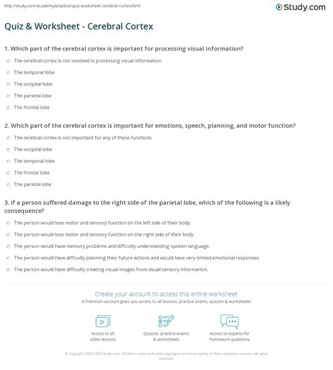 Quiz Worksheet Cerebral Cortex Study Com