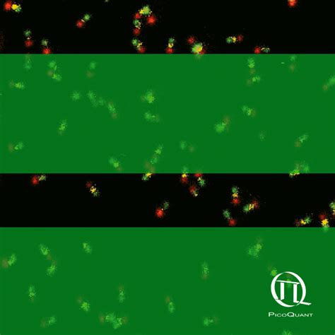 Picoquant On Linkedin Molecules Spectroscopy Microscopy Flim Fluorescence Imaging…