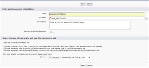 how license users can access case object in salesforce platform
