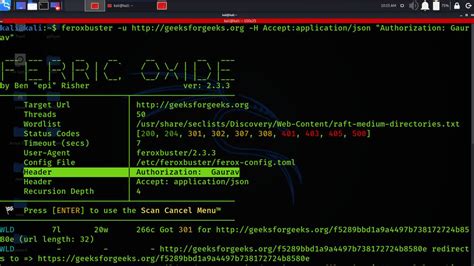 feroxbuster recursive content discovery tool in kali linux