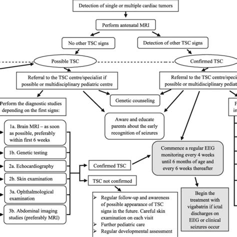 diagnostic algorithm for early tsc diagnosis and management in infants