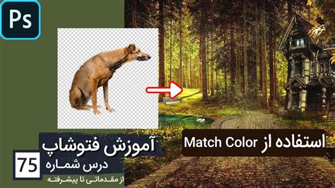 آموزش فتوشاپ از مقدماتی تا پیشرفته [درس 75] هماهنگ کردن رنگ یا مچ
