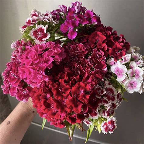 Квіти для душі