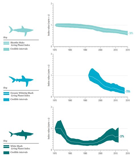 Wwfs Living Planet Report 2022 Reveals Devastating 69 Percent Average