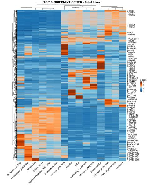 Scrna Seq Liver