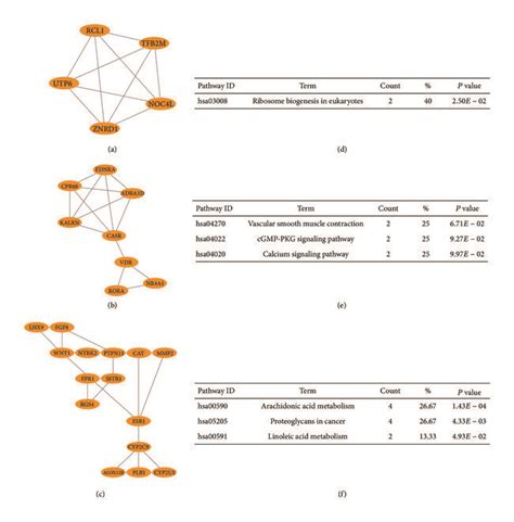 The Top 3 Modules From The Ppi Network A Module 1 B Module 2 C Download Scientific
