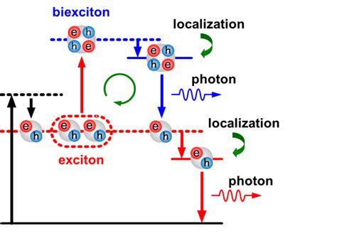 Exciton Recombination