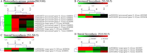 heat map clustering analysis of degs enriched in three pathways a