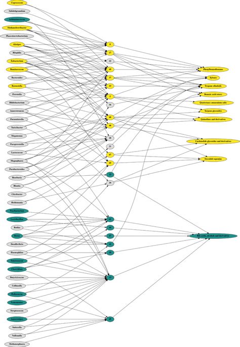 Deep In The Bowel Highly Interpretable Neural Encoder Decoder Networks