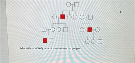 Solved What Is The Most Likely Mode Of Inheritance For This