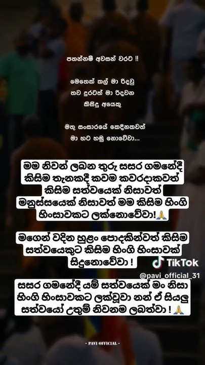 සියලු සත්වයෝ සුවපත් වේවා 🙏 Youtube