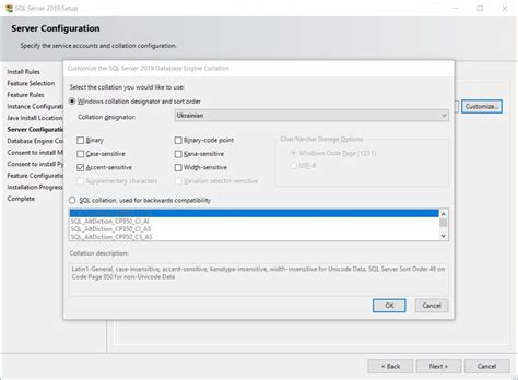 how to install sql server express edition 2019 detailed screenshots
