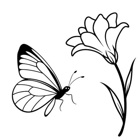 A Butterfly Is Extracting Nectar From A Freesia Flower Vector