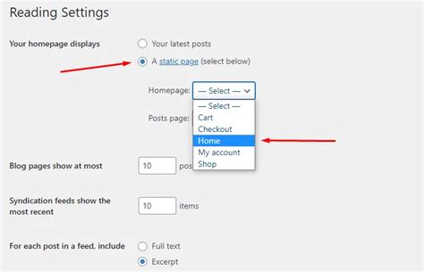 WooCommerce Storefront Theme Review Best Themes List