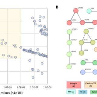 A Shows The Effect Size OR Along With The P Values For The More Download Scientific Diagram