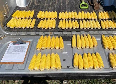 Minnesota Local Yield Data Samuelson Seeds Llc
