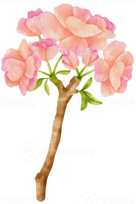 Pink Flower Watercolor Hand Painted 9659774 Png