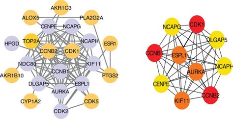 Ppi Network And Module Analysis Network A Left Normal Group Common