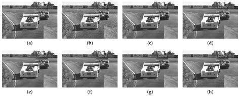 Ngdcnet Noise Gating Dynamic Convolutional Network For Image Denoising