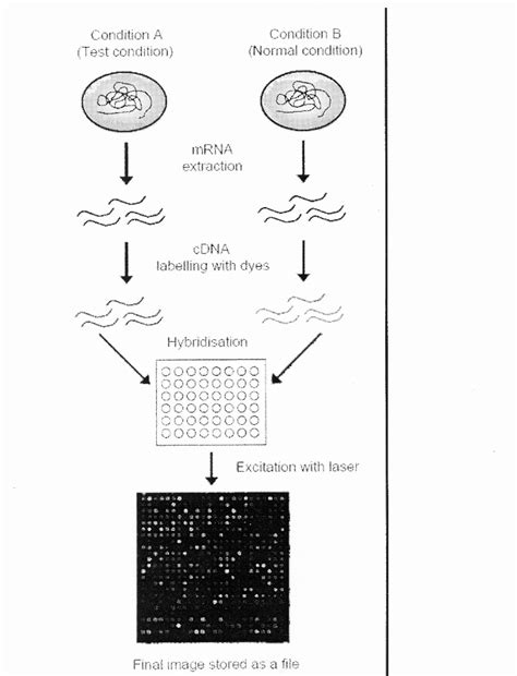 Figure 21 From Comparative Analysis Of Parametric Nonparametric And