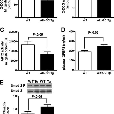 Insulin Stimulated Glucose Uptake In Muscle And White Adipose Tissue