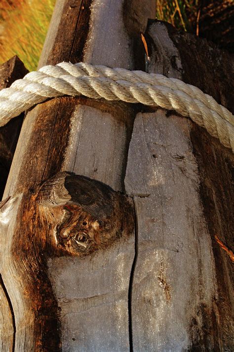 Roped Photograph By Tikvahs Hope Fine Art America
