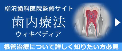 歯にヒビが入っているので補強をしました 東京都調布市の歯医者・歯科｜柴崎駅5分の柳沢歯科医院