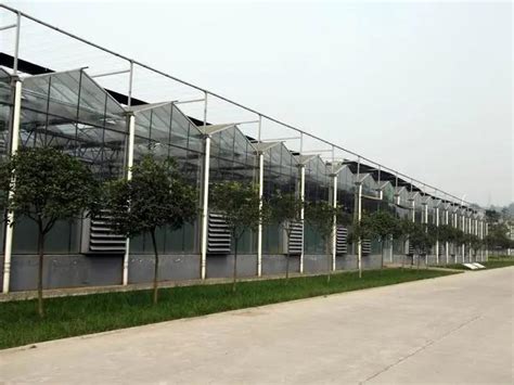 青海智能蔬菜大棚施工队 玻璃保温温室安装 造型美观 鲁苗