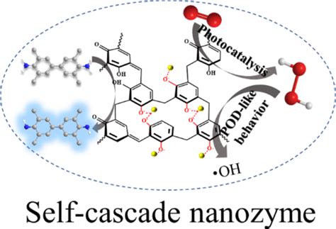 Light Driven Self Cascade Peroxidase Like Nanozymes Without Exogenous