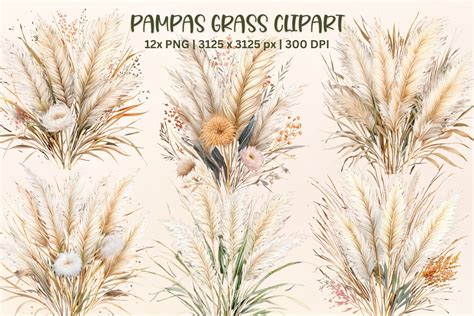 Boho Pampas Grass Clipart Graphic By Charnelles Canvas · Creative Fabrica
