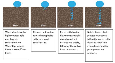 Hydrophobic Water Repellent Soils Are A Problem In Agriculture Icl