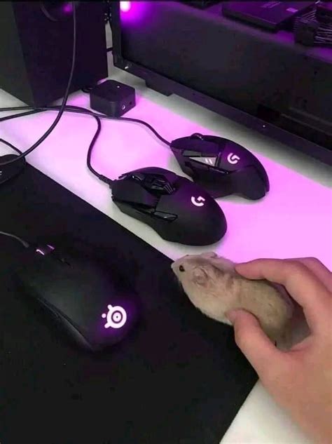 Abdullah Mohammad Jishan On Linkedin Always Use Real Product