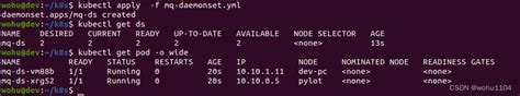 kubernetes 笔记（08）— daemonset 产生缘由、yaml 描述、使用方法、污点和容忍度的定义及使用、静态 pod