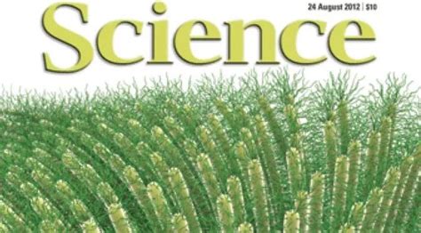 登上science封面的科学作品，我是如何展现的？
