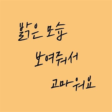 엔돌핀김밥 엔돌핀 캠페인 기분 좋은 경험을 나누다 3등 당첨자 석창호님에게 보내는 답글입니다