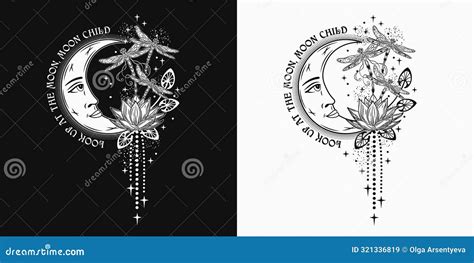 Celestial Composition With Lotus Dragonflies Moon Stock Vector Illustration Of Crescent