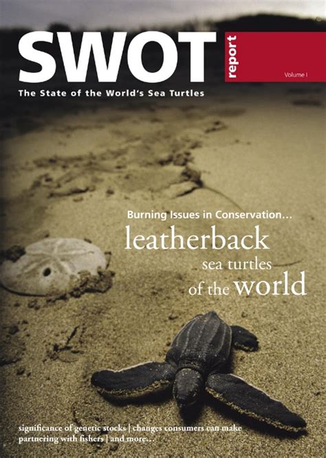 Swot Reports — The State Of The Worlds Sea Turtles Swot