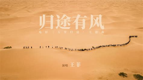 归途有风 王菲 高清MV 网易云音乐