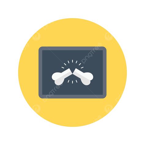 Medical Scan Anatomy Doctor Vector Scan Anatomy Doctor Png And