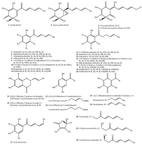 Molecules Free Full Text Sorbicillinoids From Fungi And Their Bioactivities