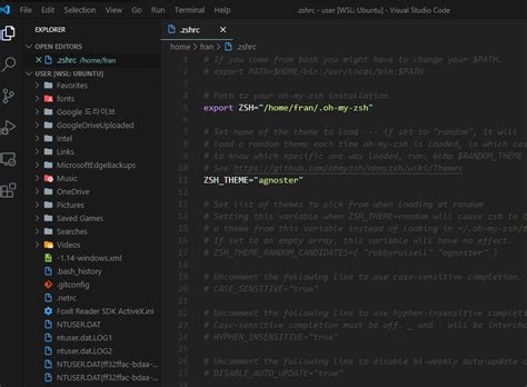 Window New Terminal에 Oh My Zsh 설치하기 3