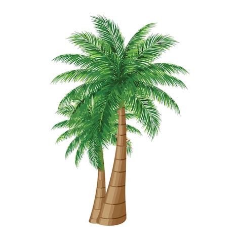 Premium Vector Various Tree Vectors Forest And Nature Concept Collection Of Different Tree