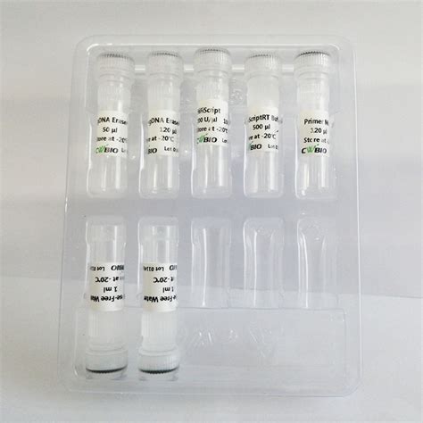 Enzyme Reagent HiFiScript Jiangsu CoWin Biotech Co Ltd For RT PCR