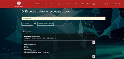DNS Lookup API And Historical DNS API Cybersecurity Essentials